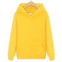 China Custom Logo Print Cotton Blank Thick Luxury Hoodies Tracksuit Unisex Fleece Embroidery Bulk Heavyweight Plain Men's Hoodies for sale