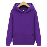 China Custom Logo Print Cotton Blank Thick Luxury Hoodies Tracksuit Unisex Fleece Embroidery Bulk Heavyweight Plain Men's Hoodies for sale