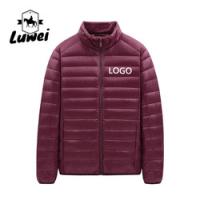 China Utility Thin Cotton Padded Coat Zipper Stand Collar Down Puffer Jacket For Men for sale