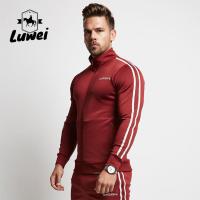 China Slim Men Sportswear Set Cardigan Stand Collar Zipper Plus Size Tracksuit for sale