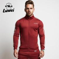 China Slim Men Sportswear Set Cardigan Stand Collar Zipper Plus Size Tracksuit for sale