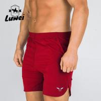 China Plus Size Gym Workout Shorts Casual Jogger Fitness Men Swim Beach Shorts for sale