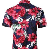 China Breathable Business Casual Shirt Slim Cut Non Iron Short Sleeved Uniform for sale