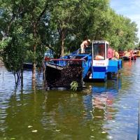 China Full Automatic Hydraulic Control Lake Weed Harvester Used in River for sale