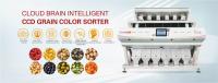 China High Capacity CCD Color Sorter Multipurpose Vegetable Color Sorter White Color for sale