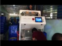 China CCD Camera Cashew Nut Color Sorting Machine Easy Operation for sale