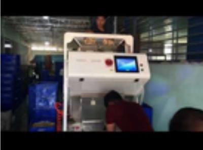 China CCD Camera Cashew Nut Color Sorting Machine Easy Operation for sale