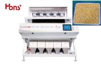 China CCD Camera 5 Chutes Corn Maize Color Sorter Intelligent Identification for sale