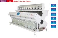 China Chickpea Soybean Ground Nut Sorting Machine Optical 10 Chute for sale