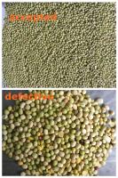 China Chickpea Soybean Ground Nut Sorting Machine Optical 10 Chute for sale