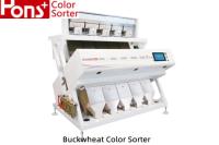 China RGB Buckwheat Color Sorting Machine Intelligent Identification for sale