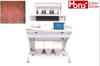 China Rgb Ccd Camera Peanut Walnut Sorting Machine Multiple Function for sale