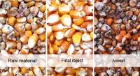 China 7 Chutes Corn Big Capacity Colour Sorting Machine Good Stability White Color for sale