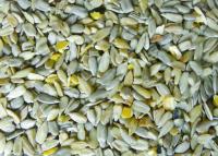 China HD Camera Sensor High Output Sunflower Color Sorter Agricultural Machine for sale