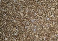 China High-Tech PLC Oats/Oatmeal/Hot Cereals Color Sorter Avena Sativa Sorting Machine for sale