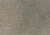 China Hons Five Chutes Chenopodium quinoa Color Sorter Wheat Sorting Machine for sale