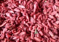 China Factory Direct Sale Red Wolfberry Color Sorter Sorting Machine for sale