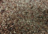 China Hot Selling Walnut Kernel Colour Sorter Steel Structure Sorting Machine for sale