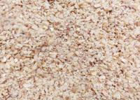 China Hot Selling Walnut Kernel Colour Sorter Steel Structure Sorting Machine for sale