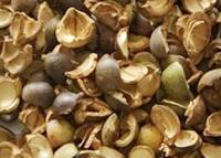 China Camellia Seeds Color Sorter Manufacturer With Intelligent Control for sale