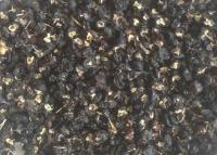 China Twelve Chutes black Wolfberry Color Sorter Food grading system for sale