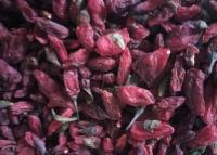 China Factory Direct Sale Red Wolfberry Color Sorter Sorting Machine for sale