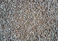 China Hons Smart Series S4 Arabica Coffee Beans Color Sorter With nikon CCD Camera for sale