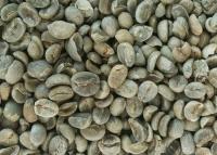 China Hons Brand Model S4 Robusta Coffee Beans Color Sorter With RGB Full Color Camera for sale
