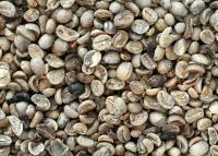 China Hons Brand Model S4 Robusta Coffee Beans Color Sorter With RGB Full Color Camera for sale