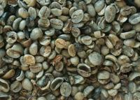 China Hons Brand Model S4 Robusta Coffee Beans Color Sorter With RGB Full Color Camera for sale