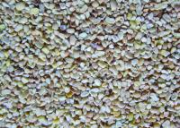 China Double Chutes Separator RGB Camera Color Sorter Green Bean Sorting Machine for sale