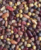 China Triple Chutes Full Color RGB Camera Color Sorter beans Color Separate Machine for sale