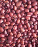 China Triple Chutes Full Color RGB Camera Color Sorter beans Color Separate Machine for sale