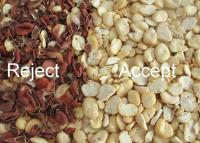 China Triple Chutes Full Color RGB Camera Color Sorter beans Color Separate Machine for sale