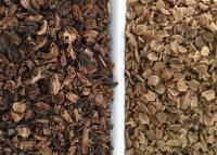 China Ten Chutes Hot Selling CCD Color Sorter Machine For Walnut Sorting for sale
