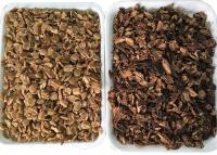 China Ten Chutes Hot Selling CCD Color Sorter Machine For Walnut Sorting for sale