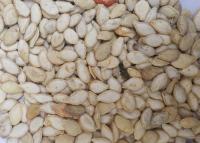China Hons Brand Popular Pumpkin Seeds Color Sorter Nuts Seeds Sorting Machine for sale
