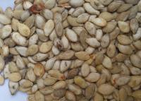 China Hons Brand Popular Pumpkin Seeds Color Sorter Nuts Seeds Sorting Machine for sale