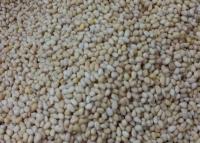 China Agriculture Machine Pine Nut Kernel Color Sorter Nuts Sorting Machine for sale