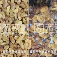 China 8 Channels CCD Color Sorter AC220V / 50Hz HD Recognition High Speed ISO9001 for sale
