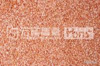 China New Type 504 Channels Intelligent Lentils CCD Colour Sorter Manufacturer for sale