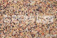 China New Type 504 Channels Intelligent Lentils CCD Colour Sorter Manufacturer for sale
