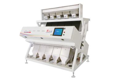 China White Color Garlic CCD Color Sorter Grain Color Sorter Quintuple Chutes for sale