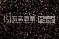 China 10 Chutes Hot Sale Model CCD Color Sorting Machine Sorter For Black Rice for sale