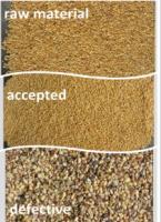China Hons Brand High Performance Bean CCD Camera Color Sorter Machine for sale
