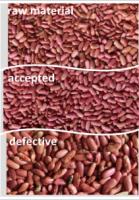 China Hons Brand High Performance Bean CCD Camera Color Sorter Machine for sale