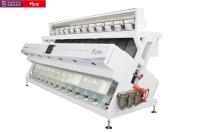 China 12 Chutes Large Capacity yellow rice Color Sorter With Dust Removal System for sale