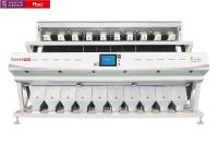 China Ten Chutes Hot Selling CCD Color Sorter Machine For Walnut Sorting for sale