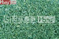 China High Capacity Tea/ Sea vegetables Color sorter Sorting Machine for sale