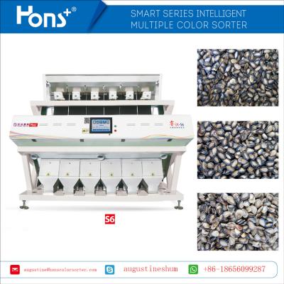 China High quality Watermelon Seeds Color Sorter Seeds Sorting Machine for sale